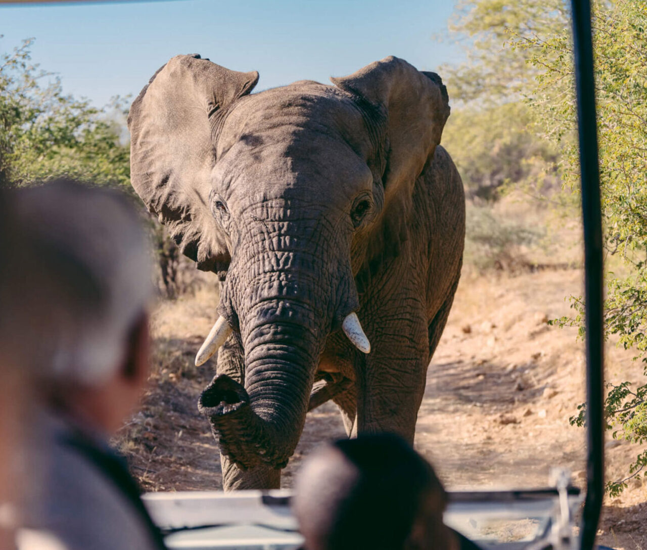 Omaruru Game Lodge Namibia - Game Reserve - Waterhole Restaurant