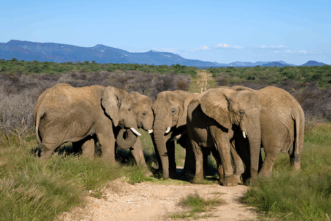 Omaruru Game Lodge | Safari & Wildlife Lodge in Erongo, Namibia