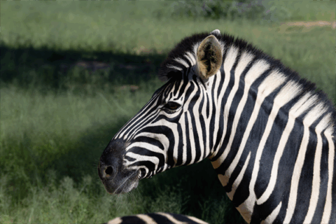 Omaruru Game Lodge | Safari & Wildlife Lodge in Erongo, Namibia